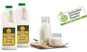 Mother Cow Dairy – Cruelty Free Milk – Slaughter Free Milk – Ethical milk